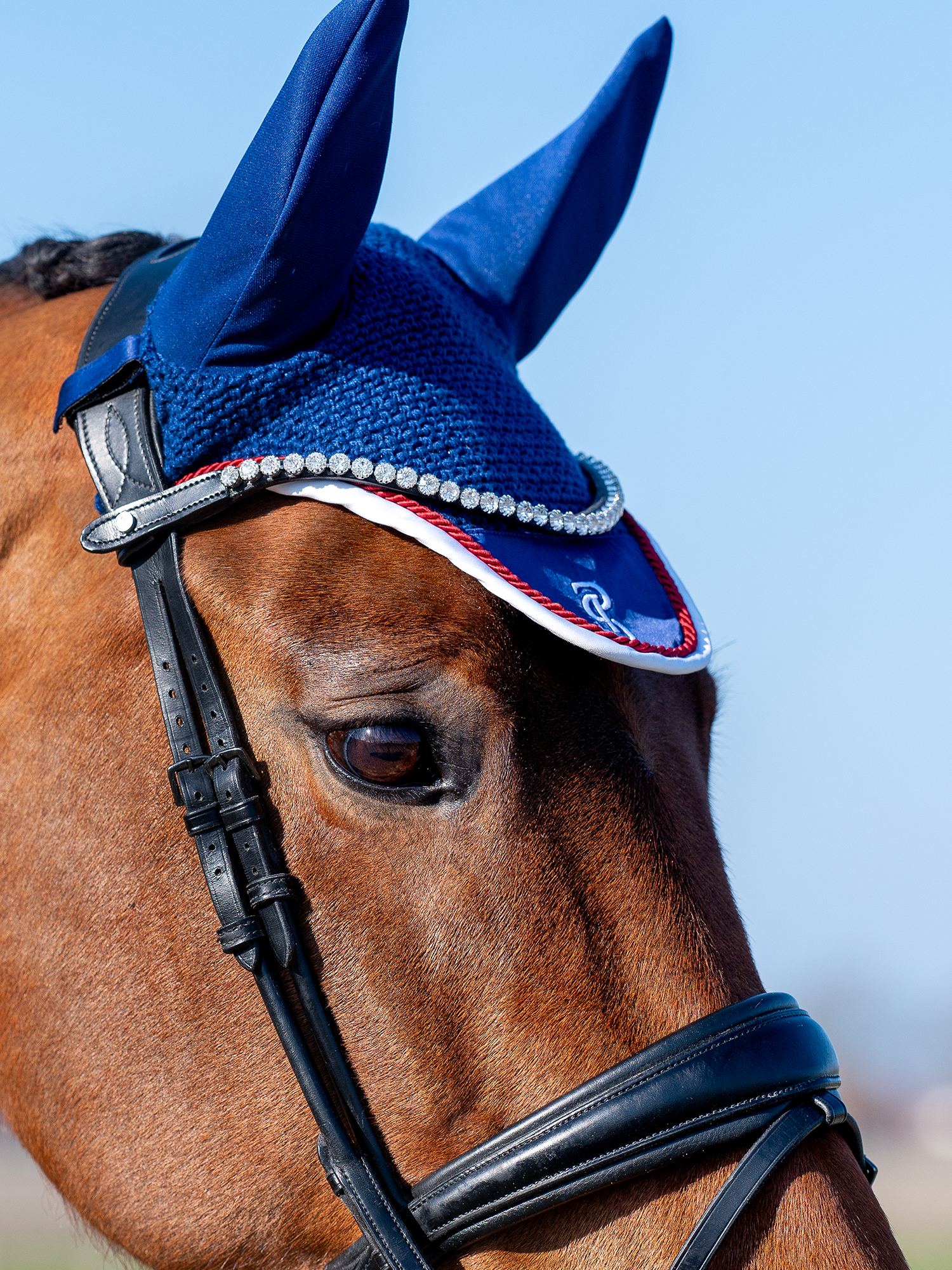 Ear Bonnet National Team • PS of Sweden