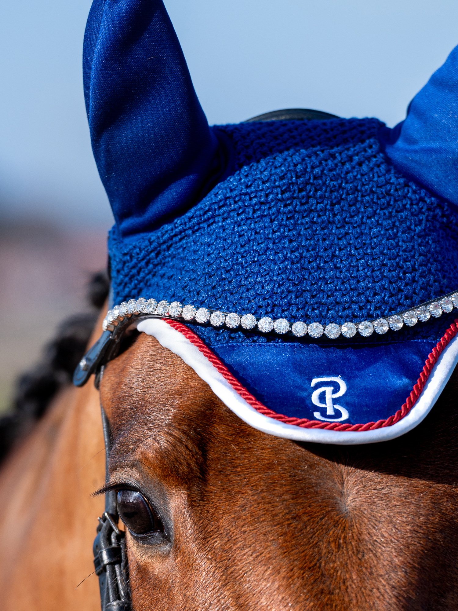 Ear Bonnet National Team • PS of Sweden