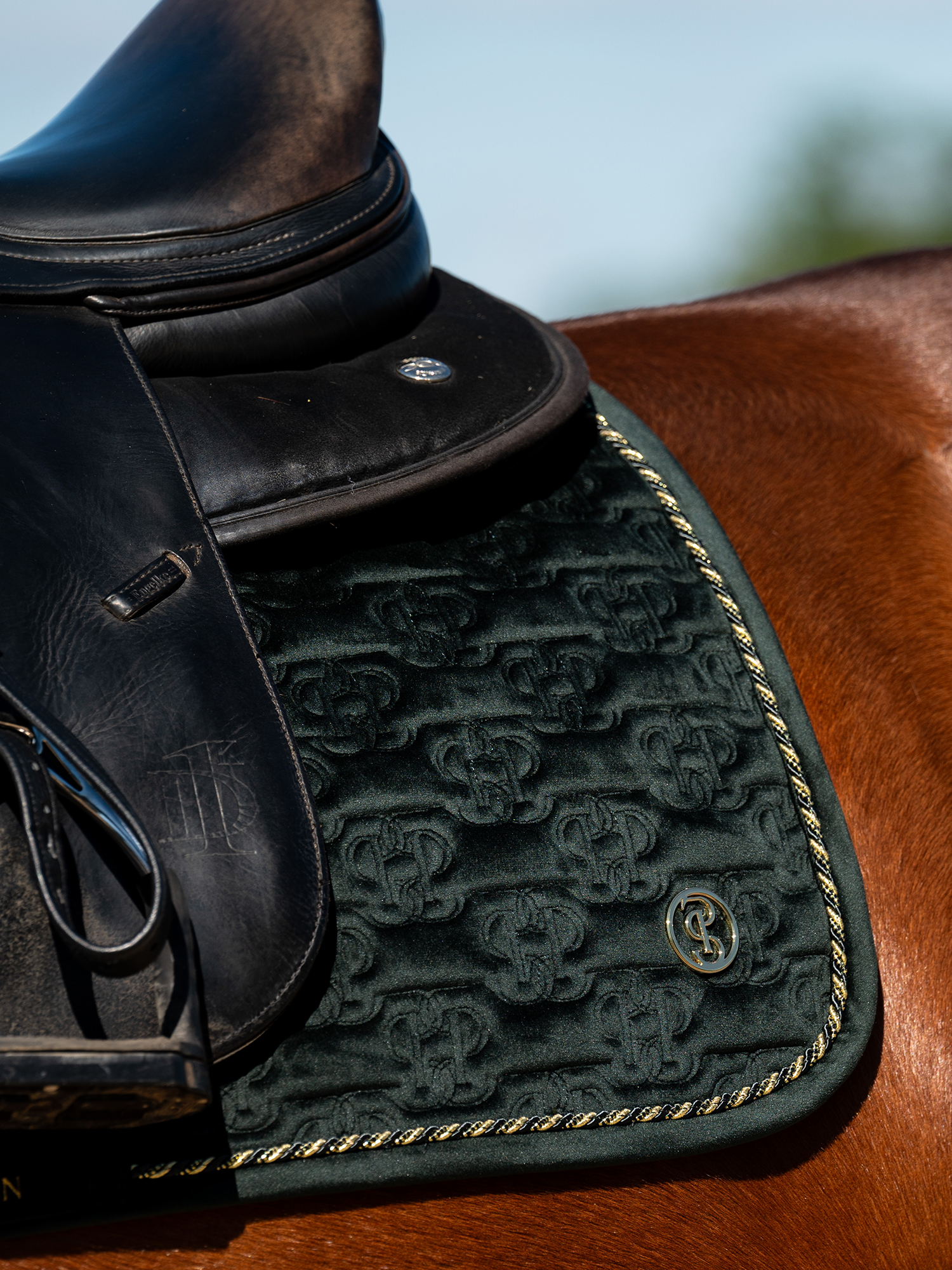 Saddle Pads with anatomical fit - Official Webshop | PS of Sweden